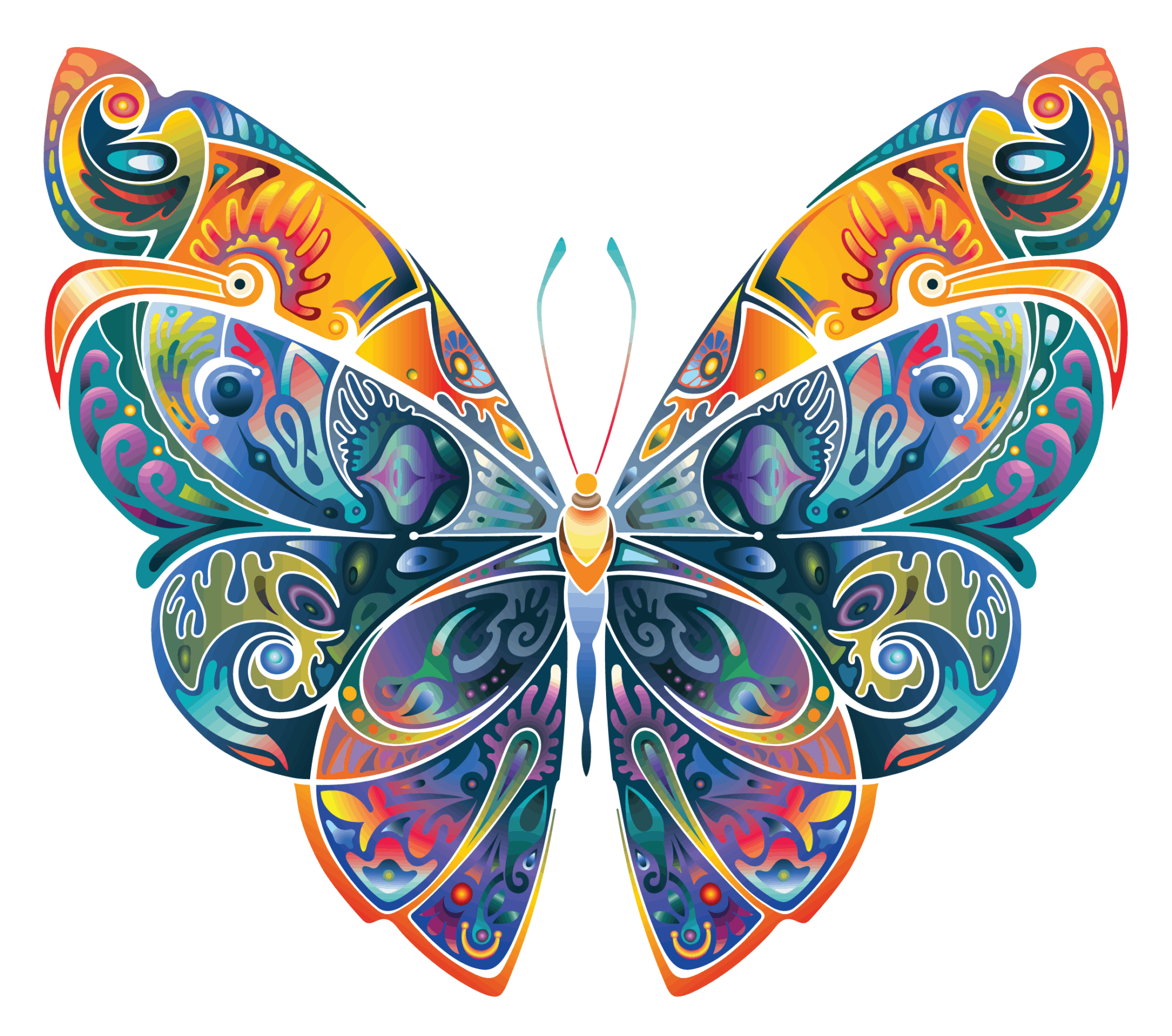 Butterfly Symbolism And Meaning What Do Butterflies Symbolize 