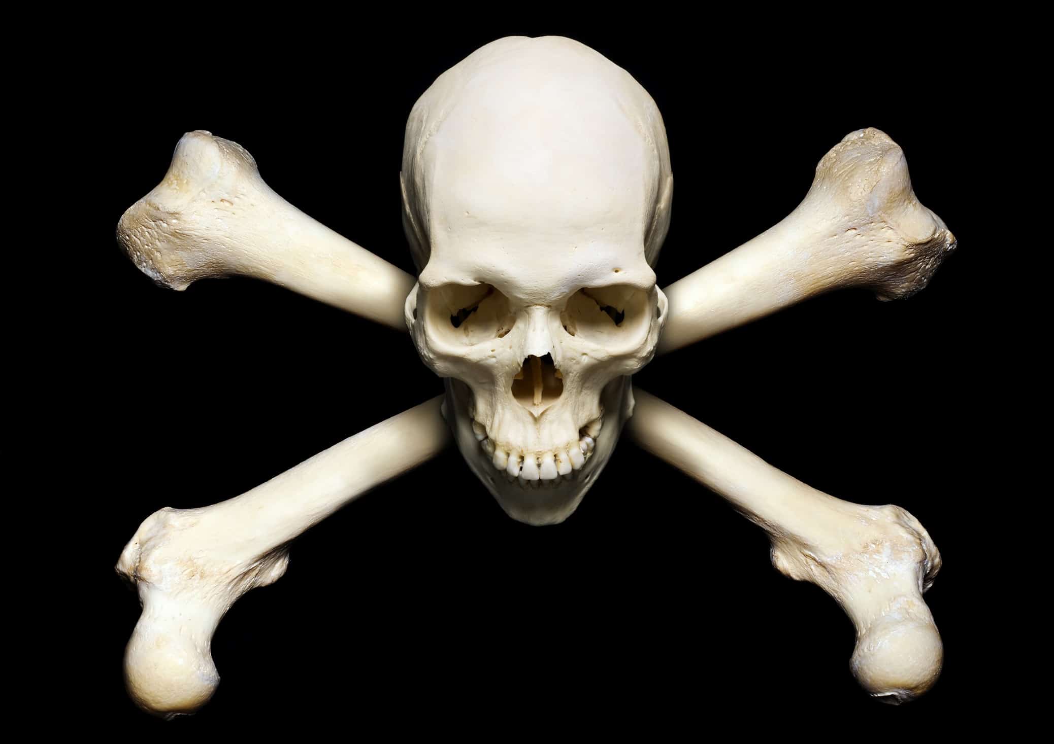 Skull And Crossbones Symbolism Meaning Origin The Pirate Jolly Roger 